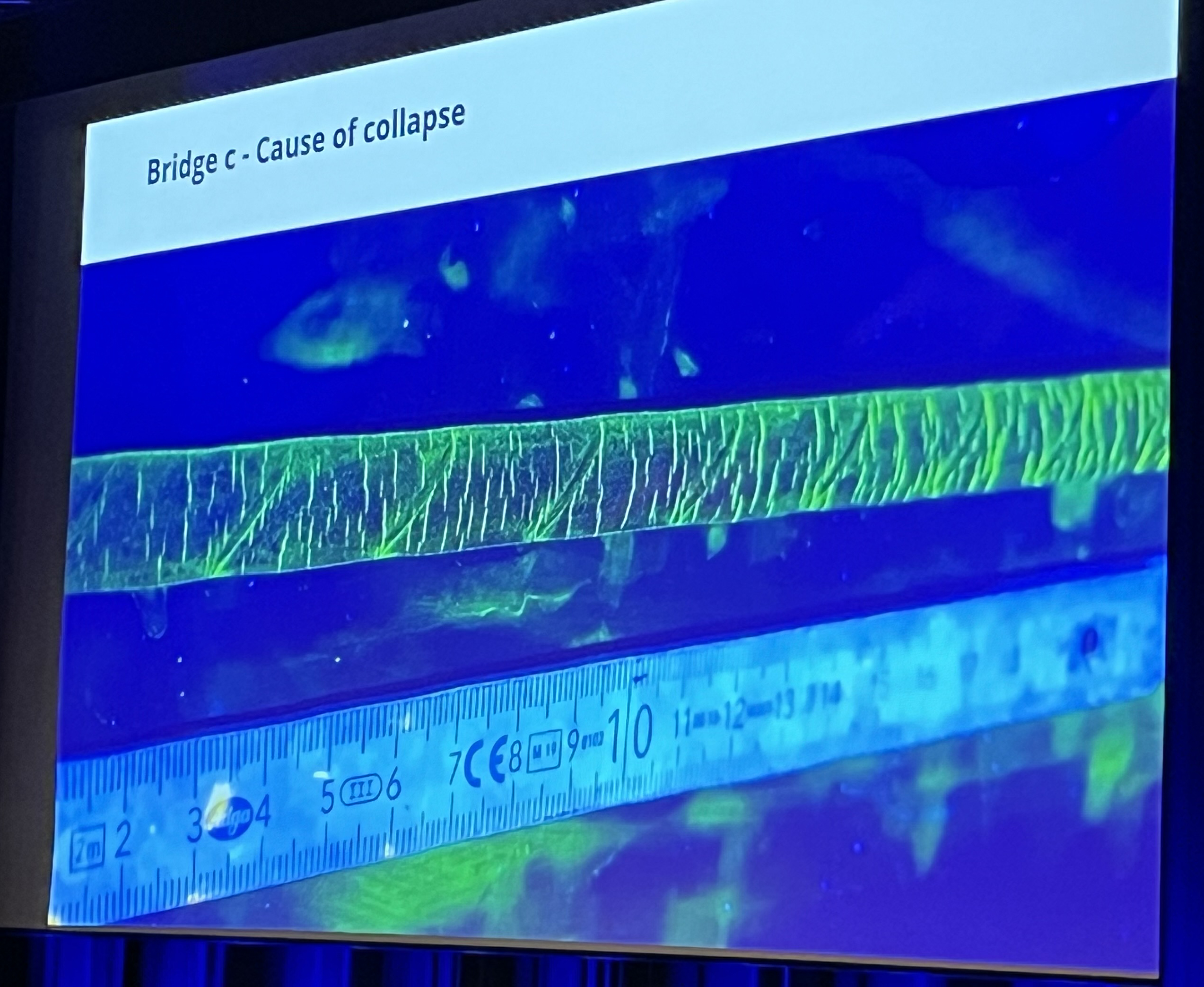Carolabrückes kollaps och dess orsaker | Byggframtid